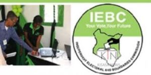Ruto appoints new IEBC selection panel amid calls for electoral reforms ...