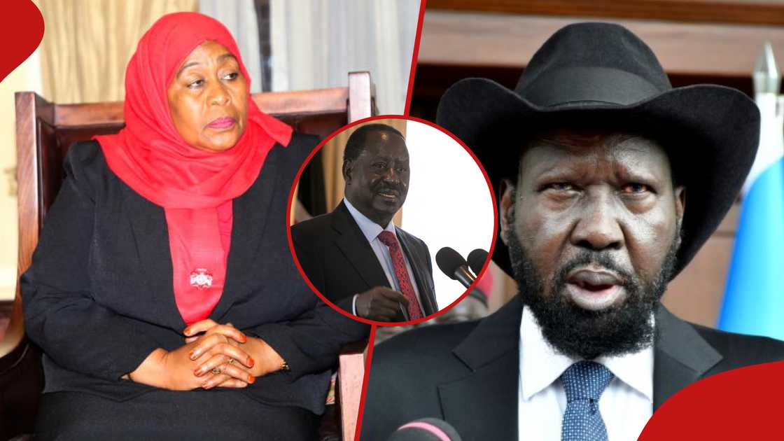 List of 22 African countries that voted for Raila in the AUC Race in ...